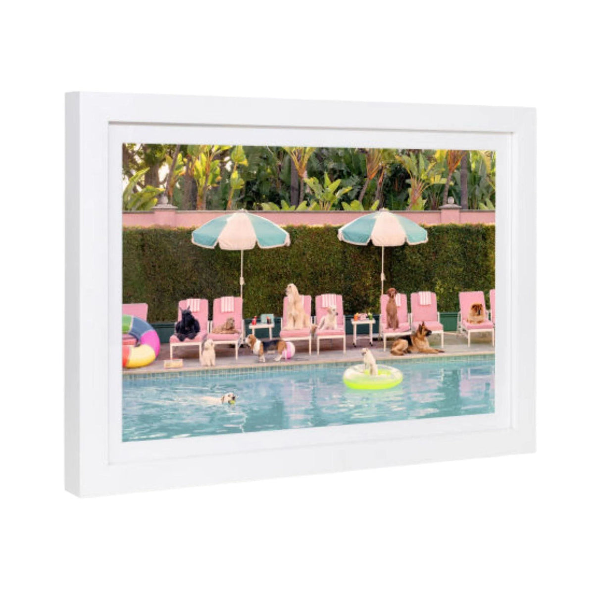 Gray Malin, Pool Day Beverly Hills Hotel, mini, framed – Woody's Mercantile