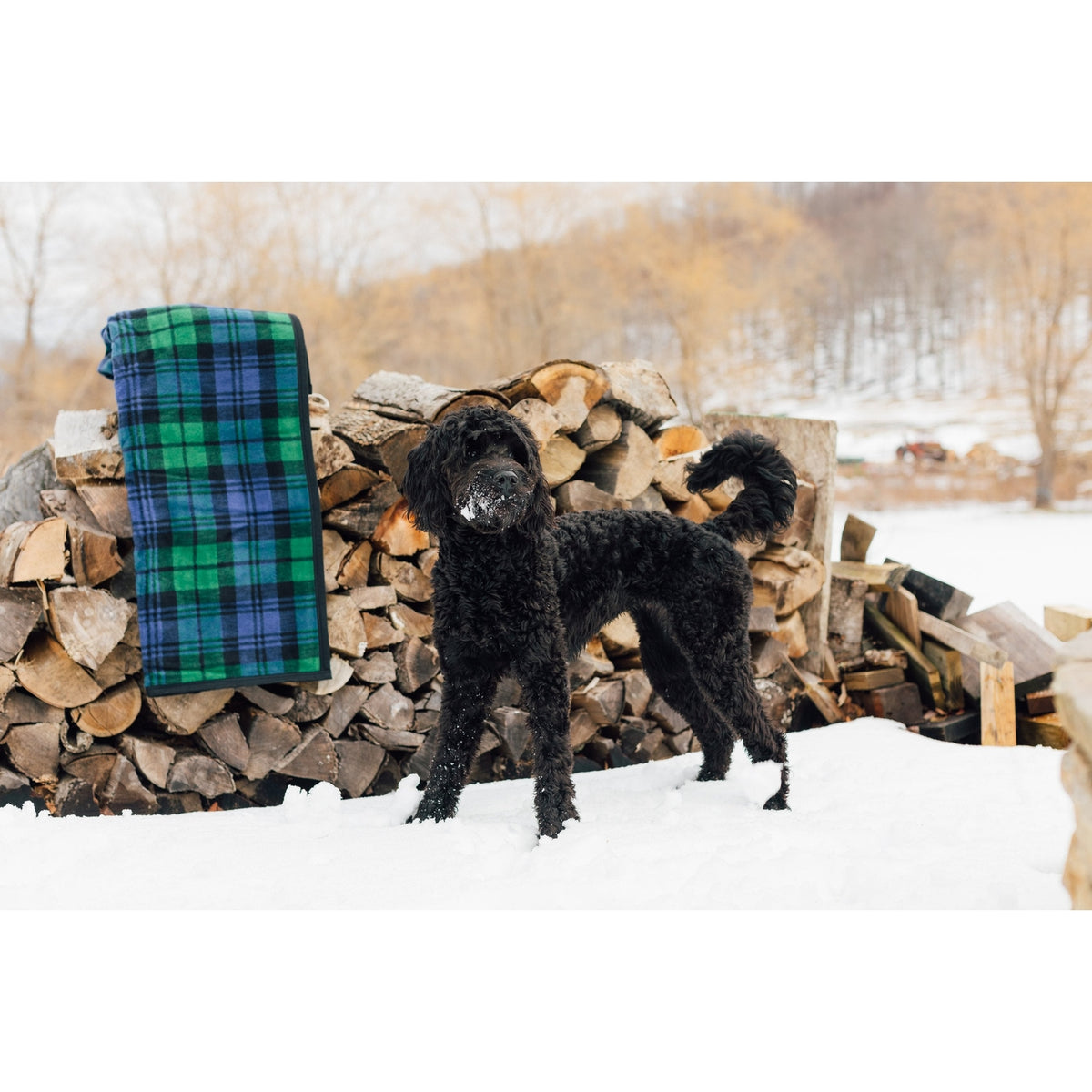 Highlander Classic Blanket – Woody's Mercantile